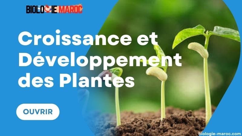 Croissance et Développement des Plantes: Cours-TP-Examen S5
